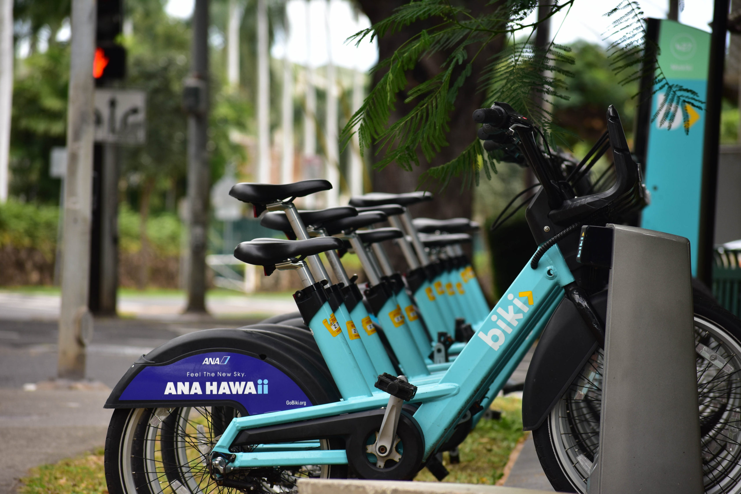 Biki just got bigger! - Biki | Biki